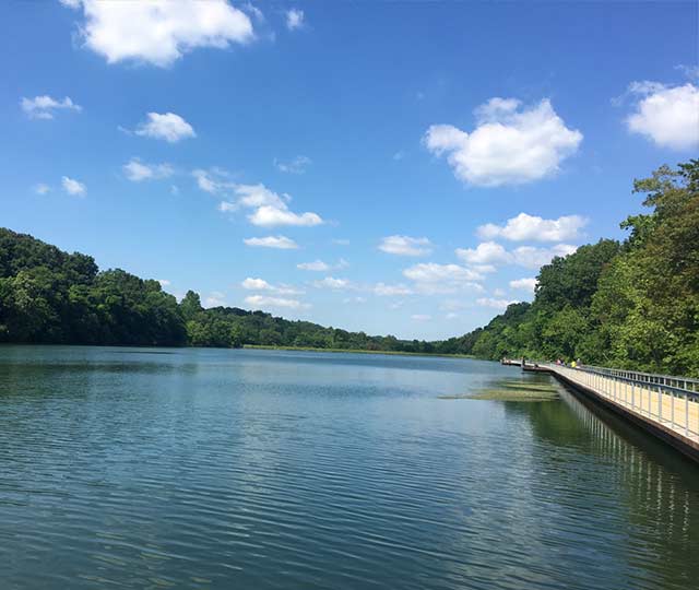 Lake Atalanta | NWAGO THE BEST Biking in Northwest Arkansas