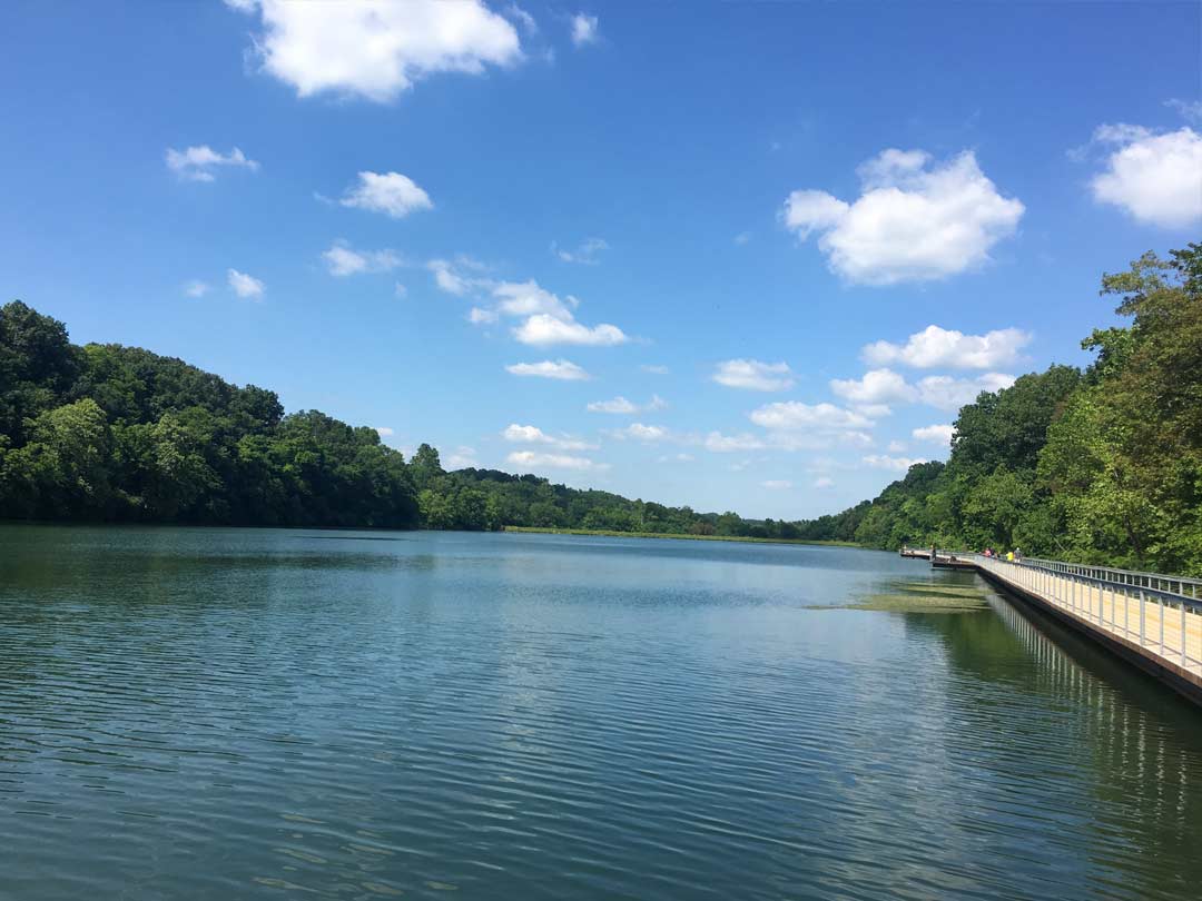 Lake Atalanta | NWAGO THE BEST Biking in Northwest Arkansas